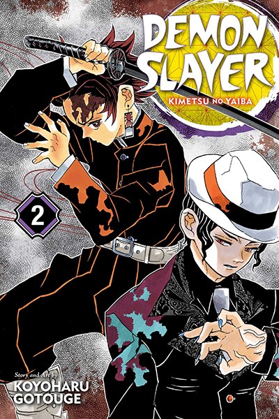 Demon Slayer: Kimetsu No Yaiba, Vol. 2: It Was You