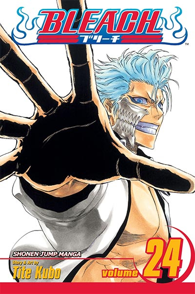 Bleach, Vol. 24: Immanent God Blues