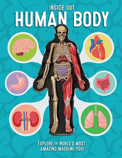 Inside Out Human Body