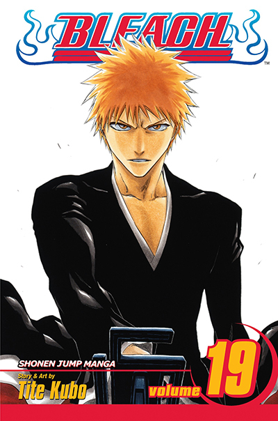 Bleach Vol. 19