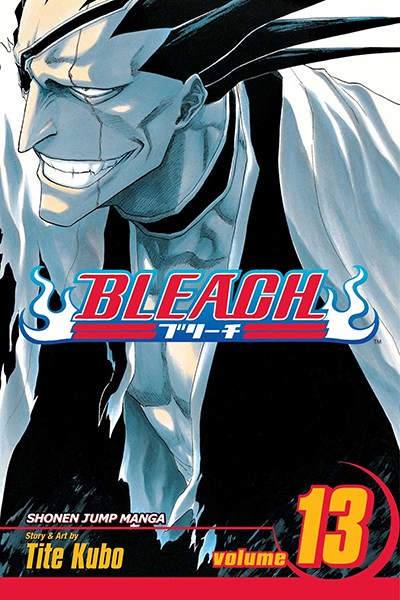 Bleach Vol. 13