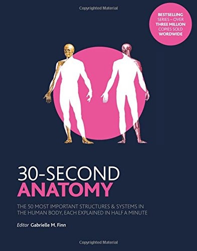 30-Second Anatomy