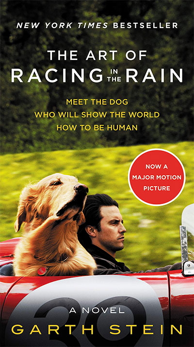 The Art Of Racing In The Rain