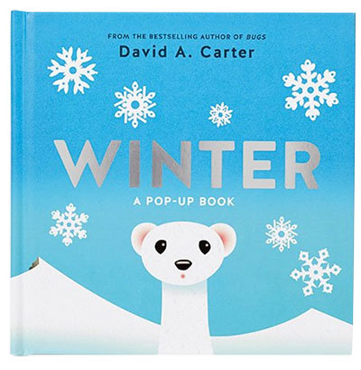 Winter: A Pop-Up Book