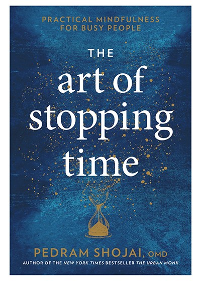 The Art Of Stopping Time: Practical Mind