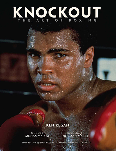 Knockout: The Art Of Boxing