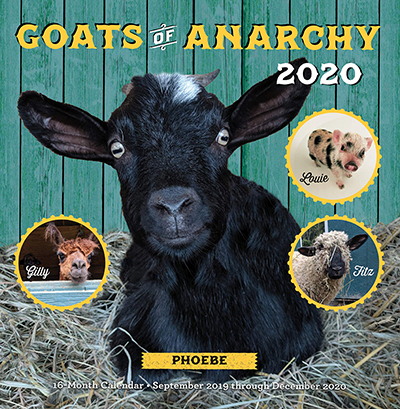 Goats Of Anarchy 2020