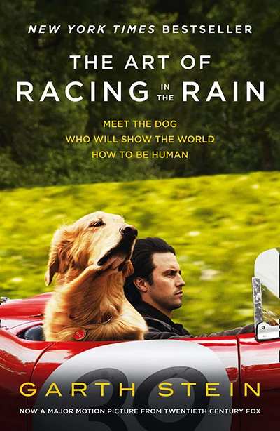 The Art Of Racing In The Rain