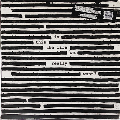 Is This The Life We Really Want (Vinyl)