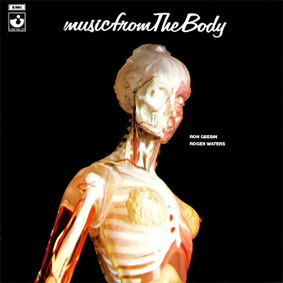 Music From The Body