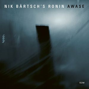 Nik Bartschs Ronin