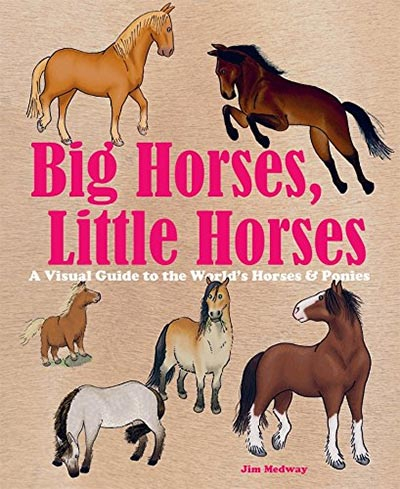 Big Horses, Little Horses: A Visual Guide To The World’s Horses & Ponies