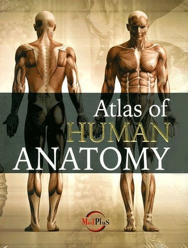 Atlas Of Human Anatomy