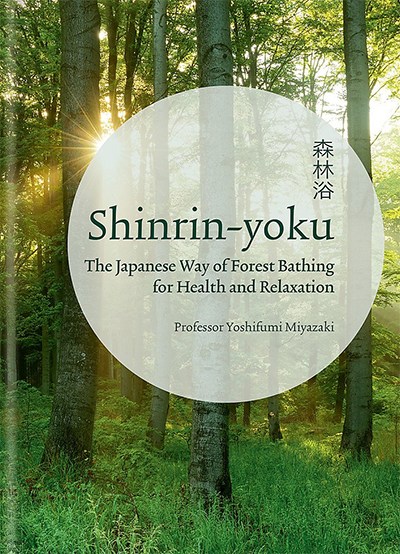 Shinrin-Yoku: The Japanese Way Of Forest Bathing For Health And Relaxation