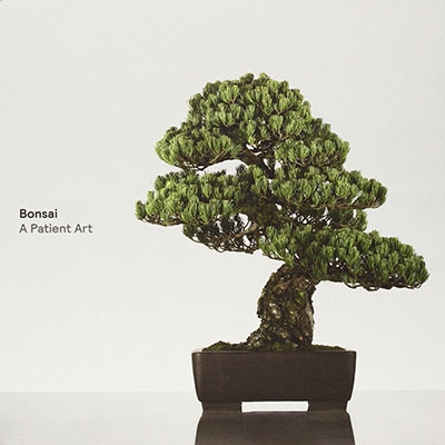 Bonsai: A Patient Art