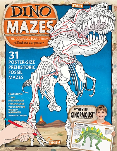 Dino Mazes: The Colossal Fossil Book