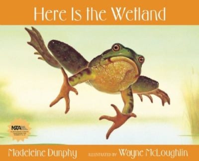 Here Is The Wetland