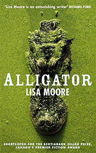 Alligator