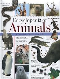 Encyclopedia Of Animals