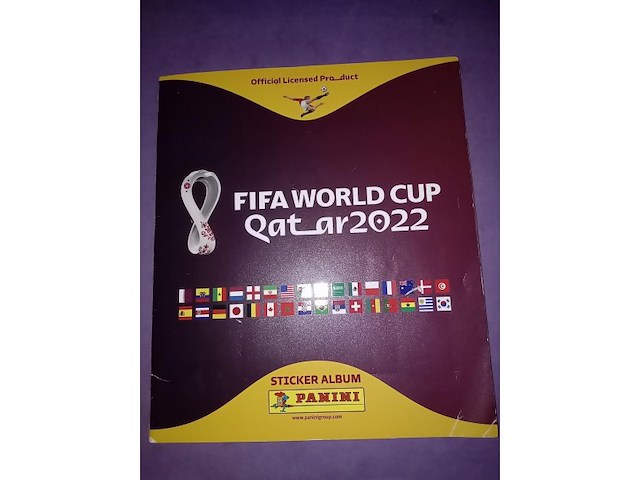 Qatar 2022 Panini