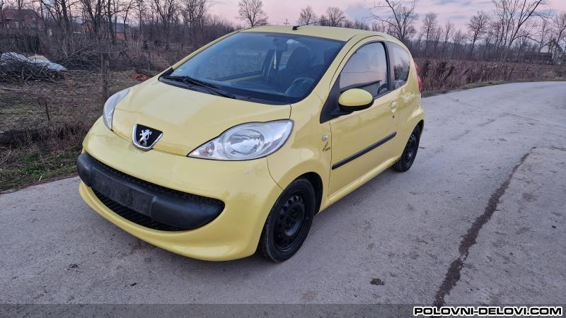 Peugeot 107 Trap I Vesanje