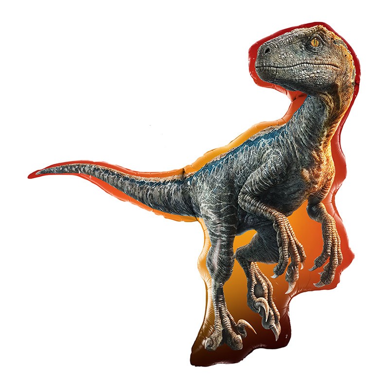 Raptor – 79cm