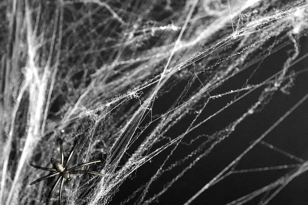 Bela paukova mreža