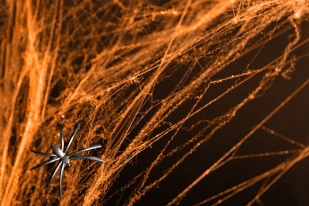 Narandžasta paukova mreža