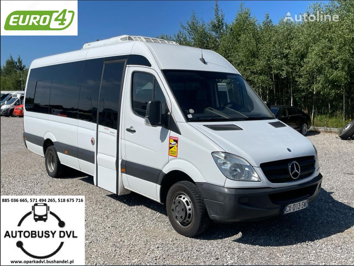 Mercedes-Benz Sprinter 2008r putnički minibus