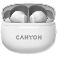 Canyon CNS-TWS8W