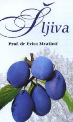 Šljiva Od Evica Mratinić