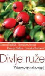 Divlje Ruže Od Lovorka Baričević, Ksenija Grđan, Tomislav Jermić, Zoran Šindrak