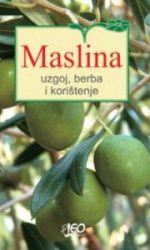 Maslina Od Grupa Autora