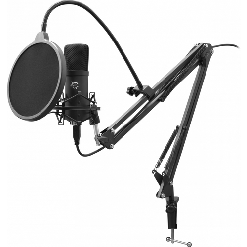 WS DSM 01 ZONIS, Microphone