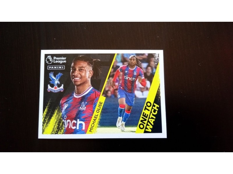 Premier league Panini 2023 broj 219