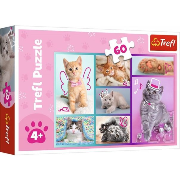 TREFL Puzzle mačke - 60 delova