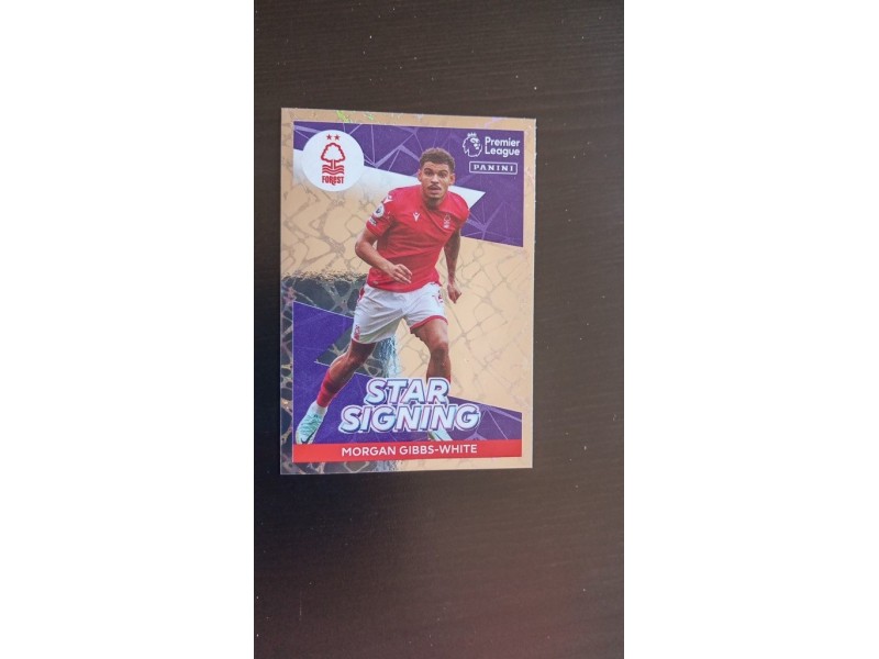 Premier league Panini 2023 broj 515