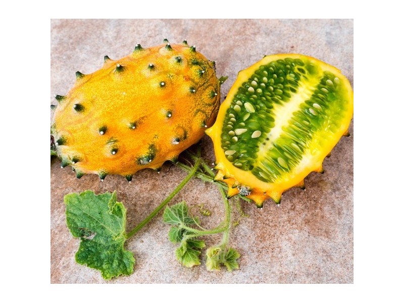 KIWANO - Cucumis metuliferus SEME