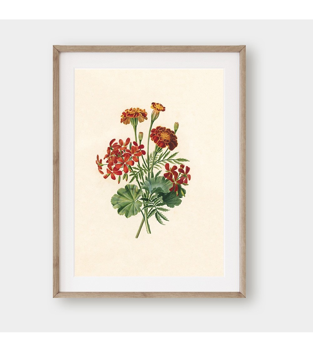 GERANIUM ŽIKLE PRINT NA PREMIUM PAPIRU (ART. P-5133)