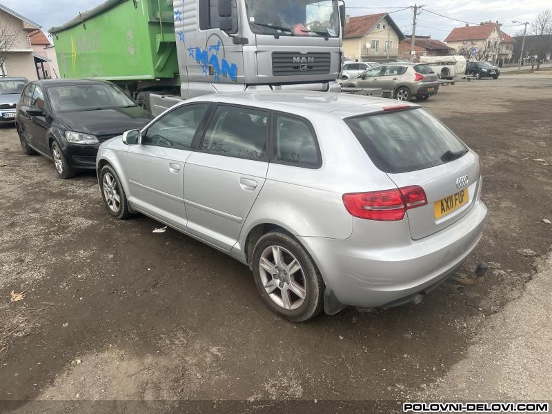 Audi A3 8p Trap I Vesanje