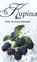 Kupina Od Evica Mratinić