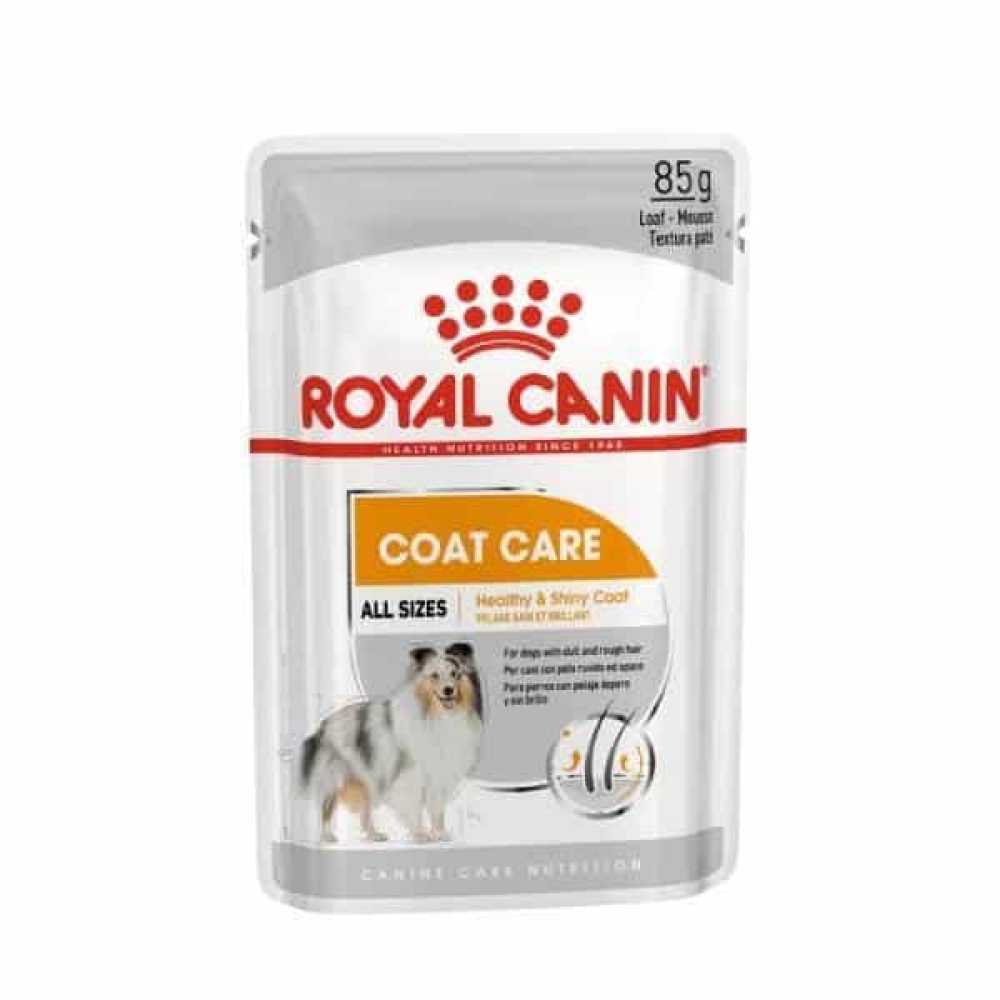 Royal Canin hrana za pse Coat Care 12x85g