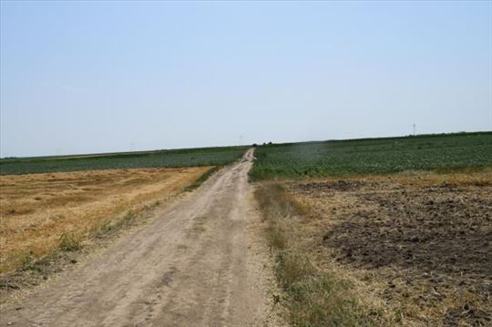 Prodaja poljoprivrednog zemljišta 55ha, Knićanin