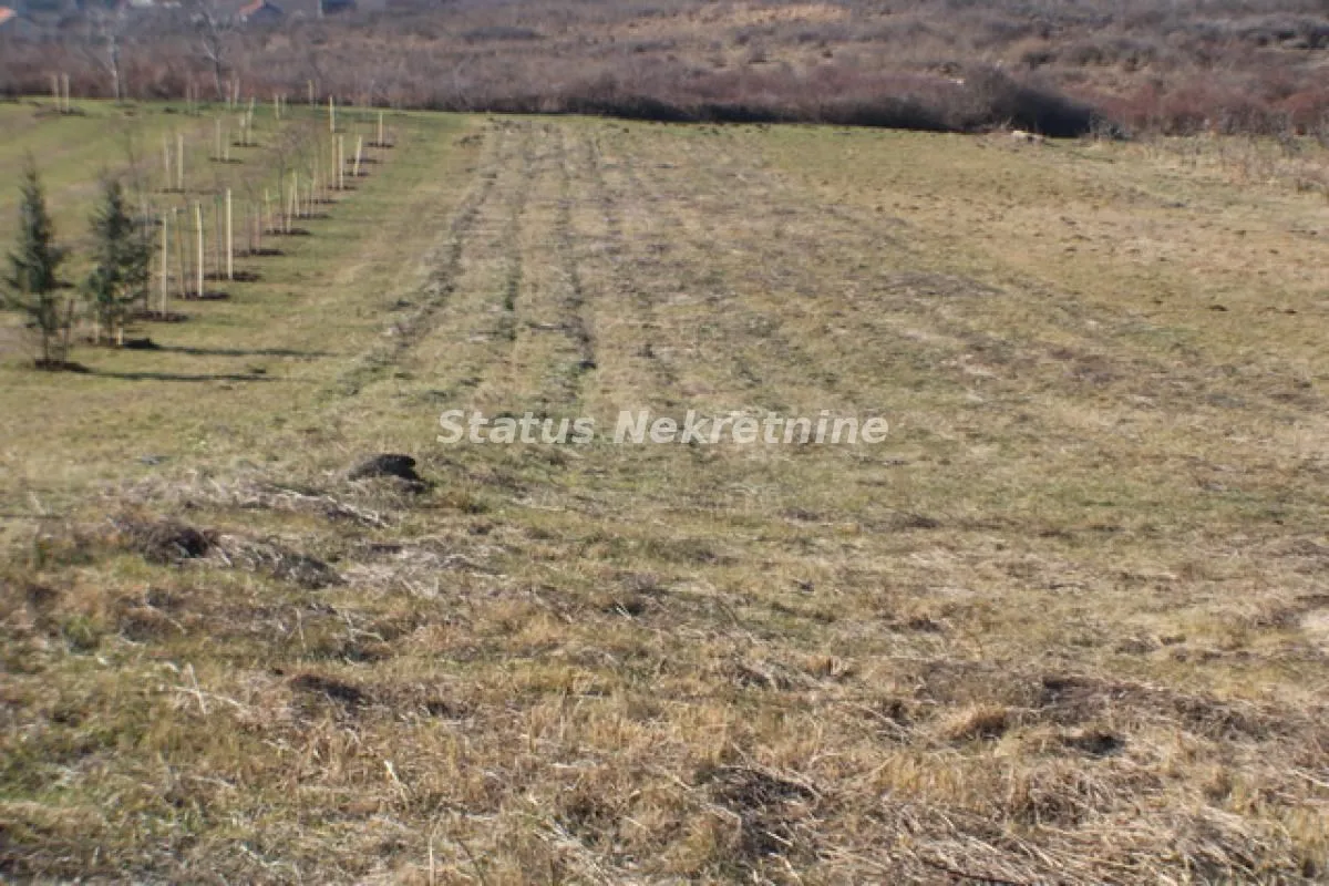 Prodaja, zemljište, 25m2, Irig