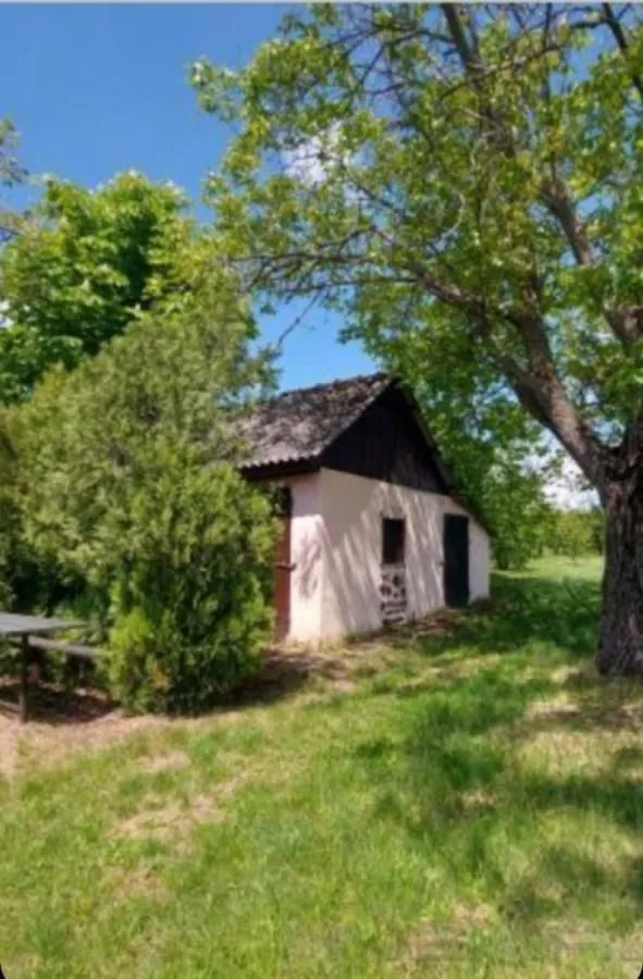 Prodaja, zemljište, 138m2, Krstašice, Irig