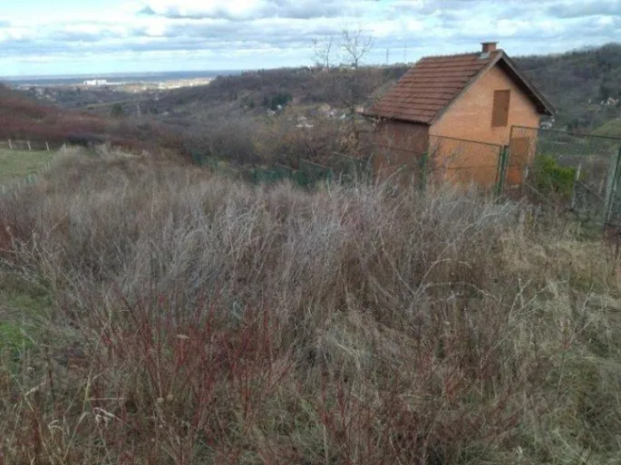 Prodaja, zemljište, 2665m2, Novi Sad