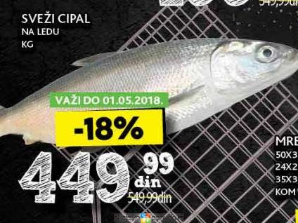 Sveži cipal, 1kg, Morska riba i plodovi mora