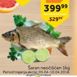 Riba šaran neočišćen, 1kg, Rečna riba