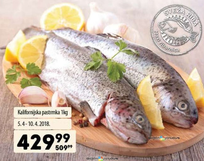 Kalifornijska pastrmka, 1kg, Rečna riba