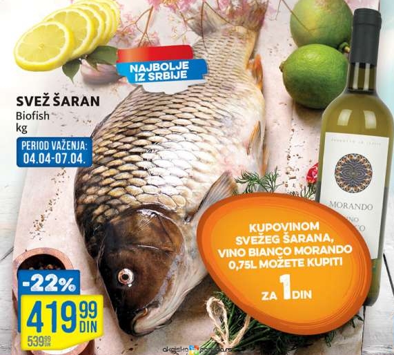 Sveža rečna riba šaran, 1kg, Rečna riba